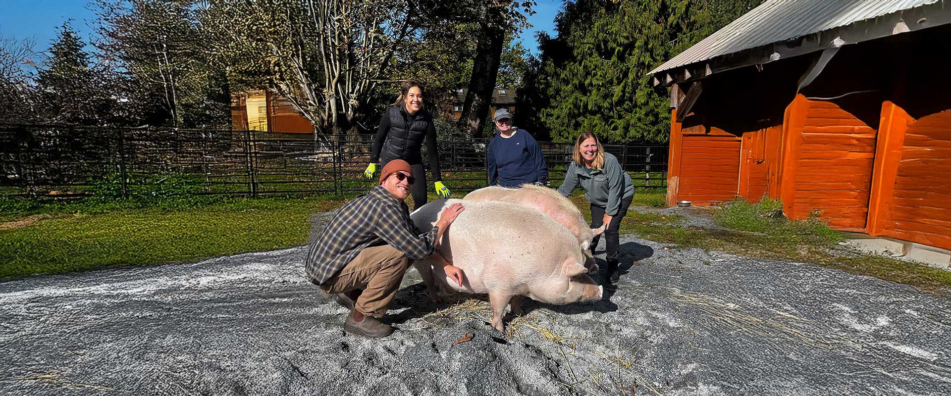 Sponsor An Animal - The Happy Herd | We provide a loving and forever ...