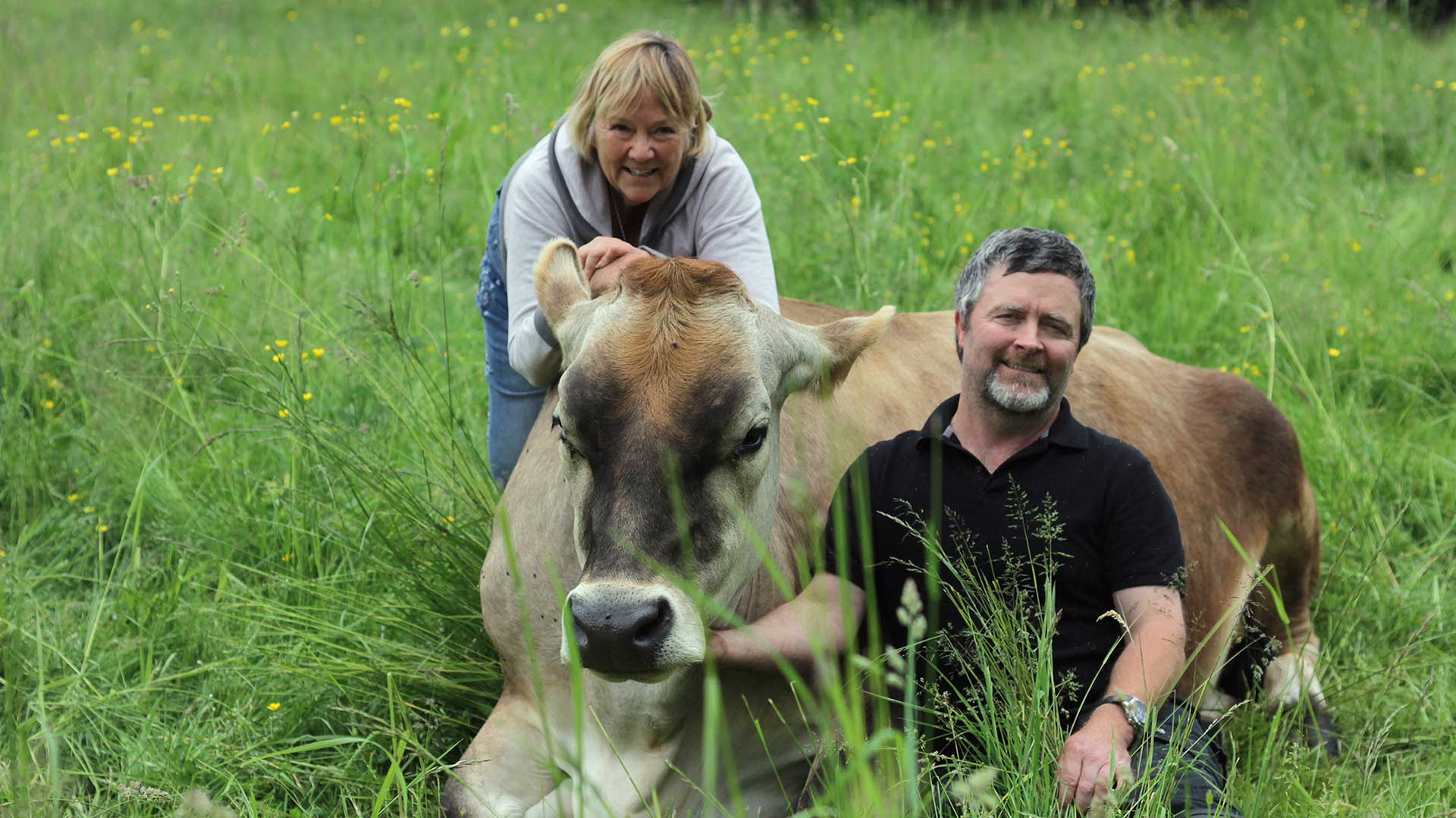 About Us - The Happy Herd | We provide a loving and forever home for ...